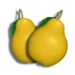 When is pear season? - Look at the chart