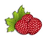When is raspberry season? - WhenIsTheSeason.com